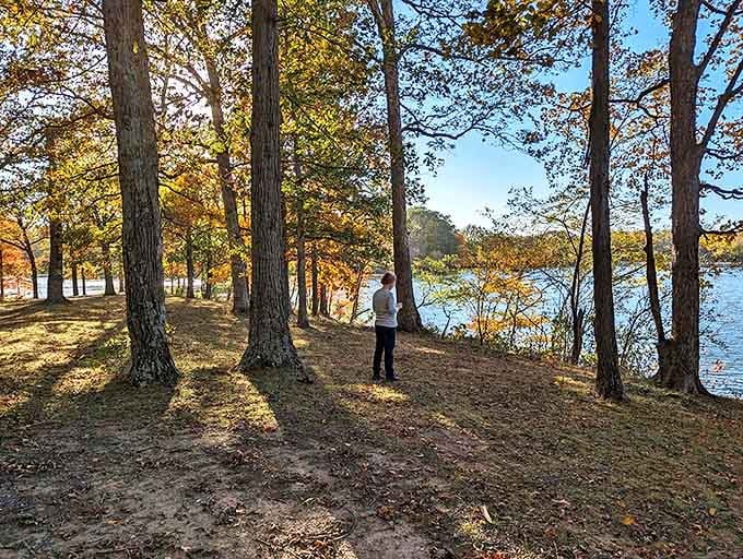 Autumn's golden hour &ndash; when the trees dress in their finest colors and even the most amateur photographer looks like a genius.