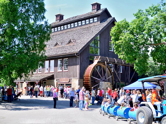 The mill becomes a community gathering place where strangers become friends over shared appreciation of perfectly churned dairy delights.