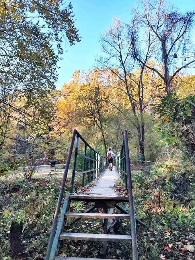 Cross this rustic footbridge into autumn's golden embrace, where fallen leaves create nature's most beautiful carpet leading deeper into adventure.