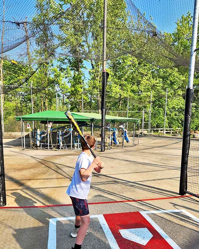 Where weekend warriors channel their inner baseball stars and parents discover their coaching abilities extend beyond homework supervision.