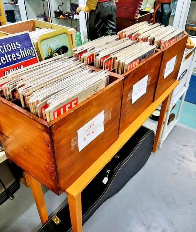 These grooved time machines don't just play music—they resurrect entire decades, complete with crackles, pops, and authentic analog warmth.