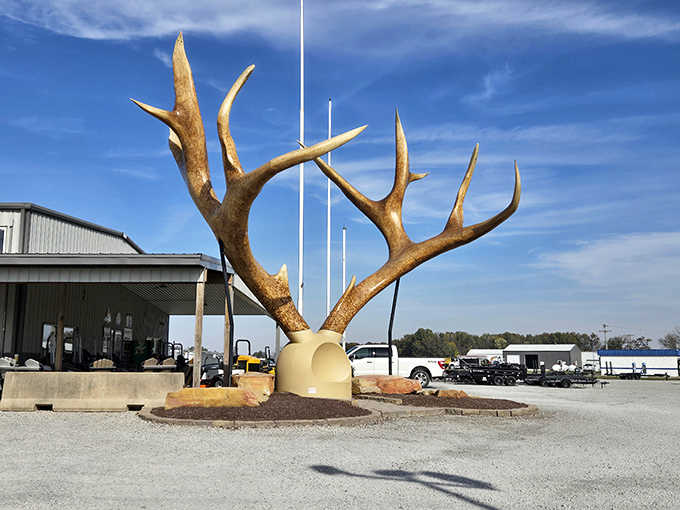 These massive antlers would make even the most seasoned hunter do a double-take &ndash; another of Casey's larger-than-life attractions.