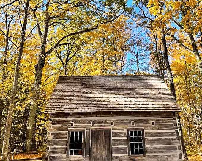 Golden maples embrace this rustic log cabin, where pioneer families once gathered around woodstoves during Michigan's fierce winters.