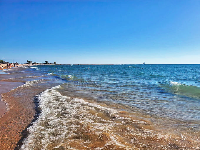 Lake Michigan waves gently kiss the shore, delivering a soothing soundtrack that somehow drowns out even the loudest family arguments.