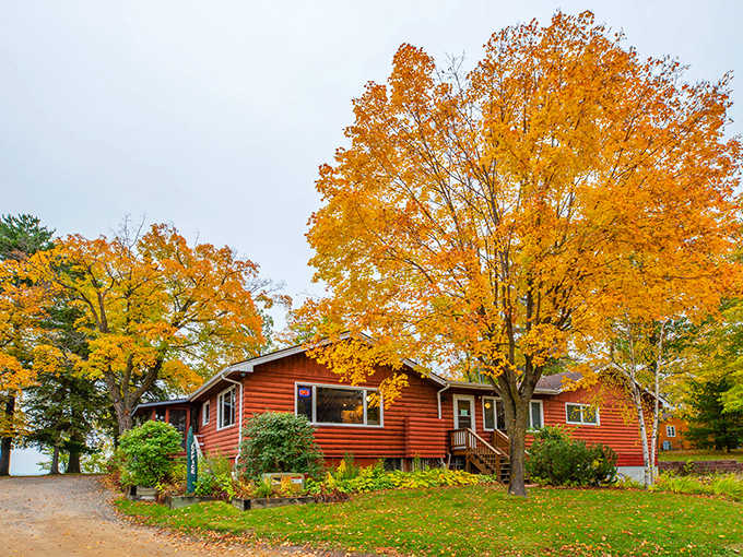 Fall's golden touch transforms this lakeside cabin into a calendar-worthy scene, where autumn leaves create nature's perfect welcome mat.