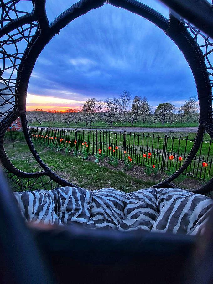 Sunset views from a hanging chair remind you that sometimes the best entertainment is just watching the sky do its thing.
