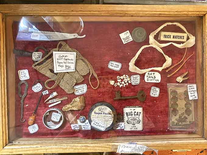 Box of Unusual Items: This carefully curated collection of oddities tells stories of medicine's past &ndash; from rat tails to trick matches, nothing is too strange.