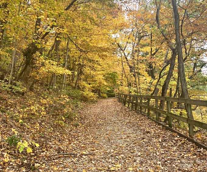 Autumn's golden carpet: Fall transforms this trail into a magical pathway, with leaves crunching satisfyingly underfoot.