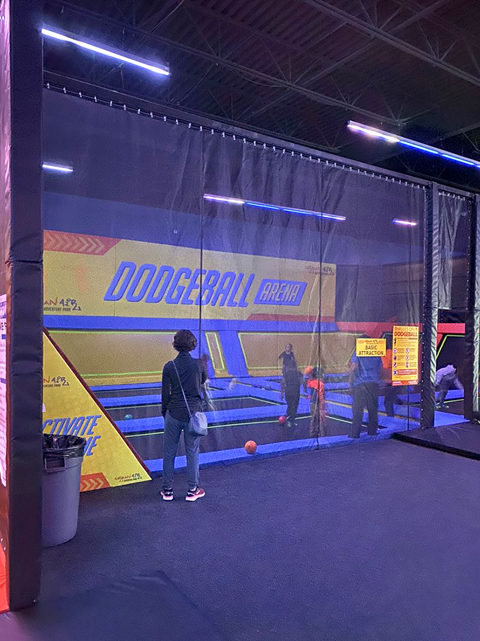 Dodgeball Arena combines trampolines with projectiles, creating the kind of organized chaos that makes gym class look downright peaceful by comparison.