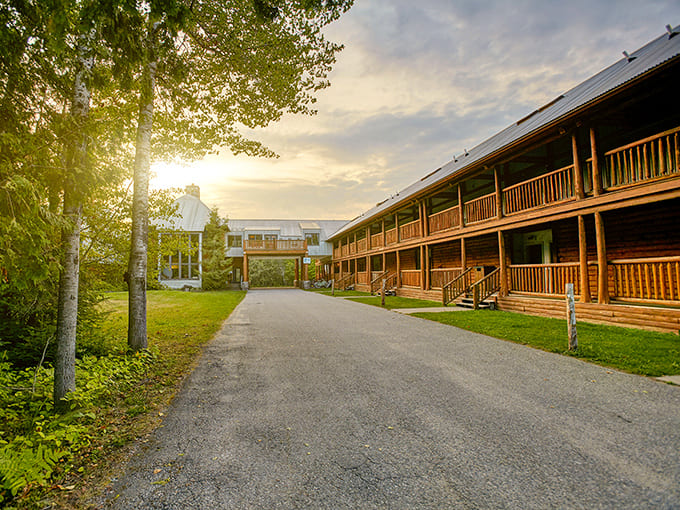 The resort's rustic lodges blend seamlessly with surrounding forests, offering comfort without sacrificing that essential connection to nature.
