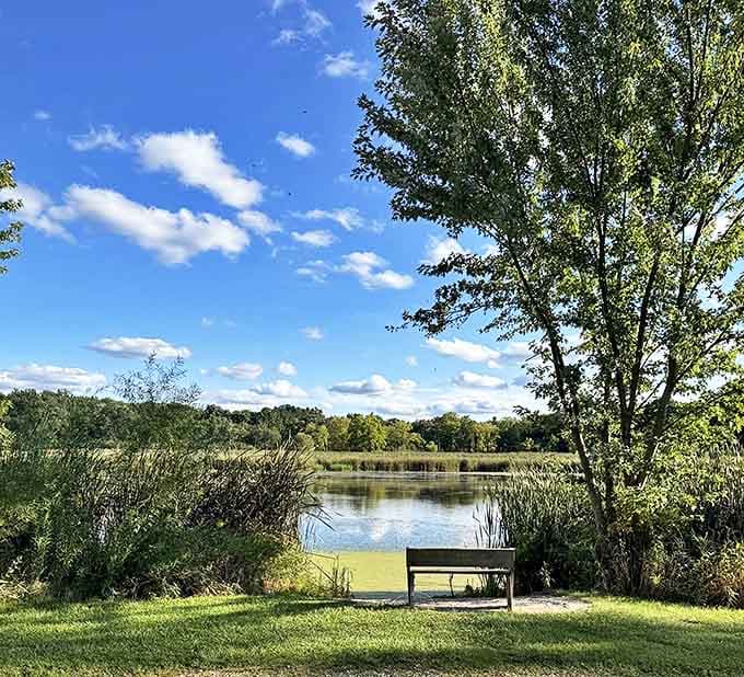 Dufield Pond Conservation Area offers a bench with the best view in town &ndash; nature's theater where the only admission price is taking time to notice.