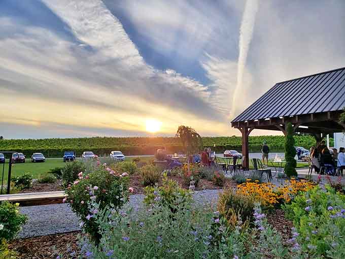 As day fades to dusk, the vineyard glows with golden light &ndash; nature's perfect backdrop for that last glass of ros&eacute;.