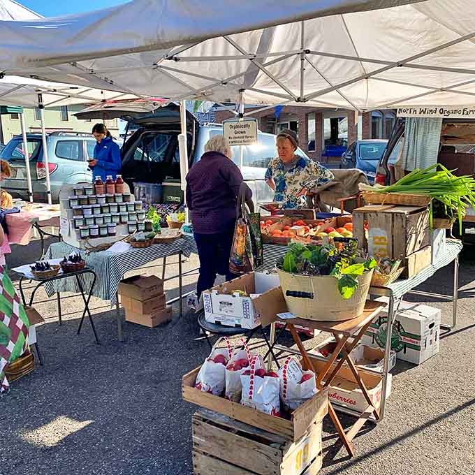 Local farmers display summer's bounty under white tents, where conversations about heirloom tomatoes can last longer than the shopping.