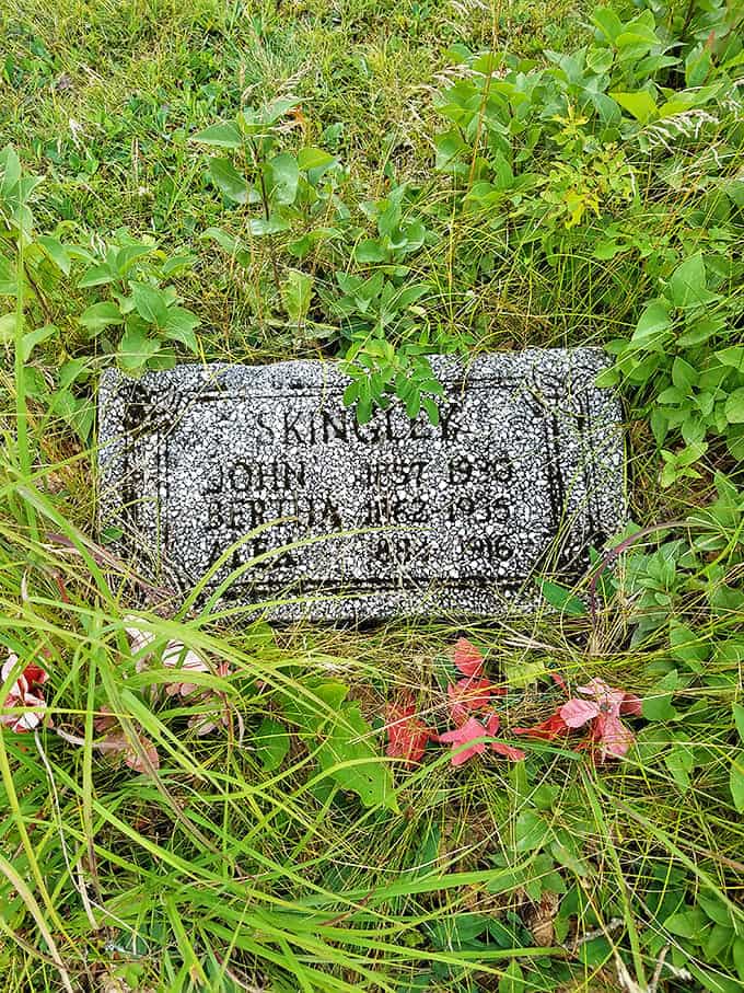 Nature slowly reclaims this flat grave marker, with persistent vegetation gradually obscuring the carved details of a life long past.