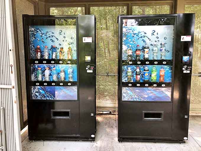 Beach convenience at its finest &ndash; these vending machines save the day when you've forgotten drinks or need a quick snack.
