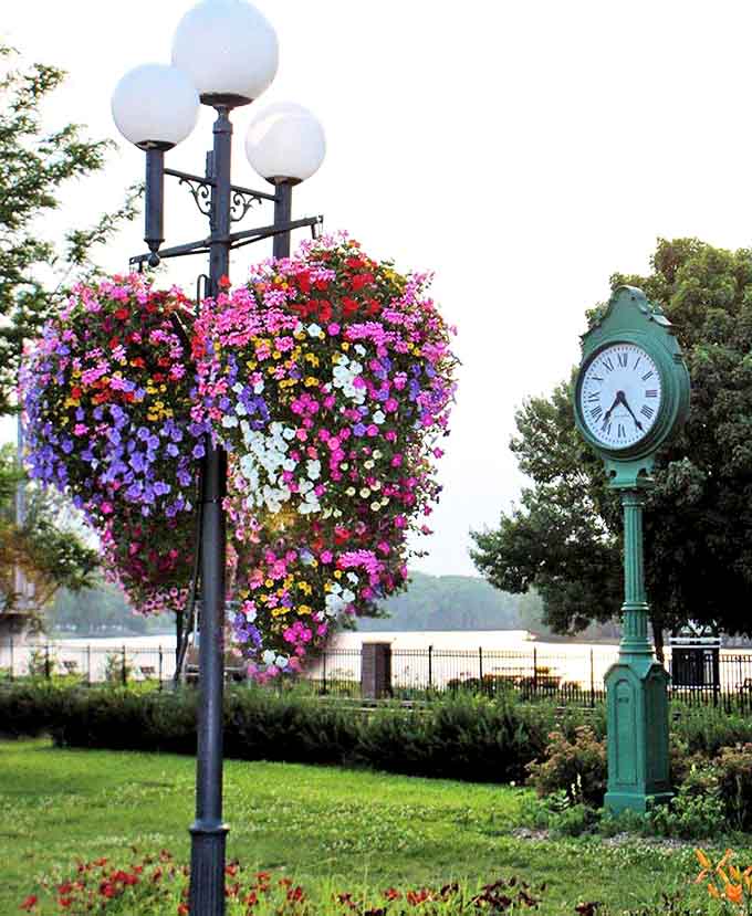 Red Wing's public spaces bloom with hanging flower baskets that make even the town clock look like it's celebrating spring.