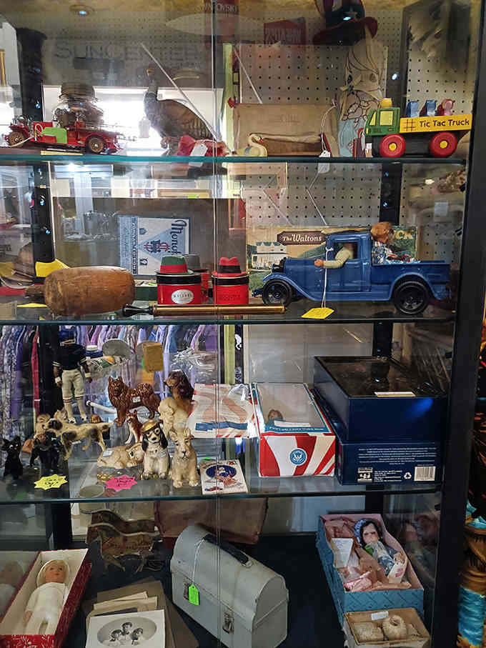 The curio cabinet displays vintage toys and collectibles with the reverence they deserve, each item carefully positioned to show off its unique character and charm.