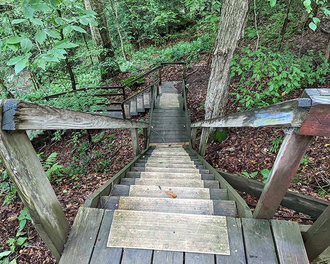 Steep wooden stairs lead adventurers deeper into the gorge, each step revealing more of nature's hidden treasures.