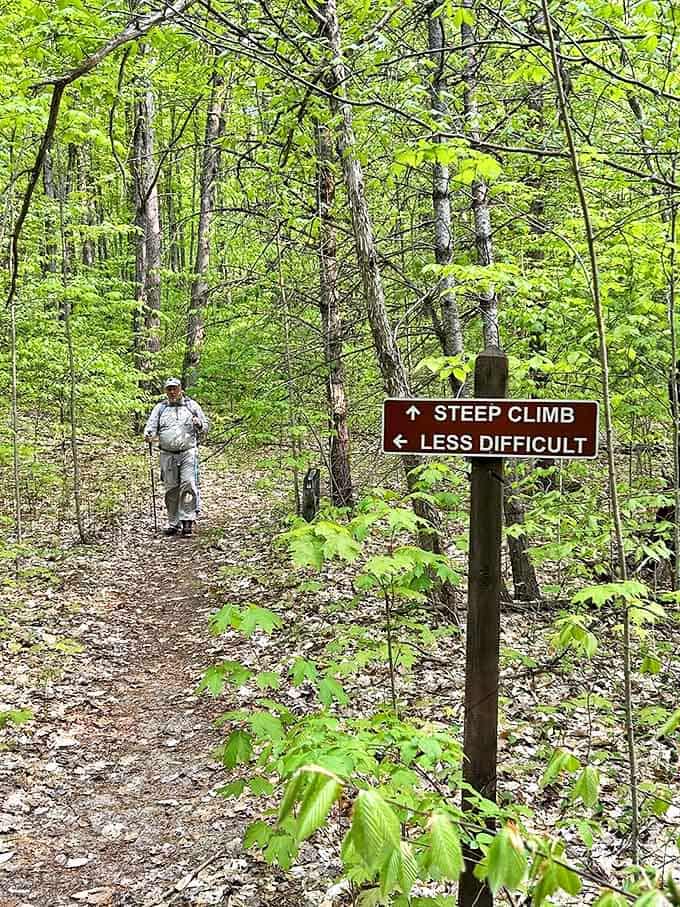 A hiker contemplates which path to choose &ndash; the trail equivalent of deciding between desserts at a fancy restaurant.