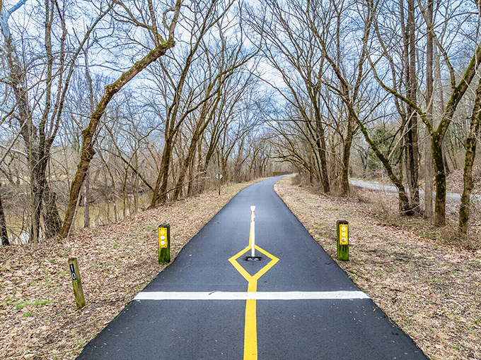 The Hockhocking Adena Bikeway stretches like a ribbon through the landscape, offering a perfect path for working up an appetite.