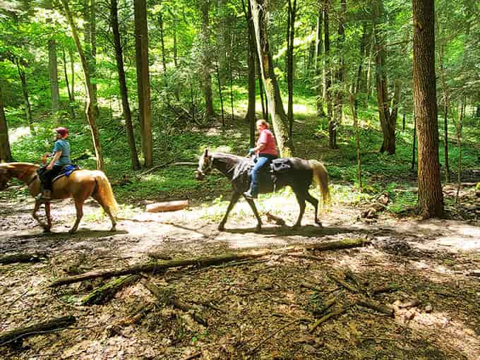 Equestrian explorers: Riders experience the trails as early travelers might have, their horses' hooves adding a rhythmic soundtrack to the forest silence.