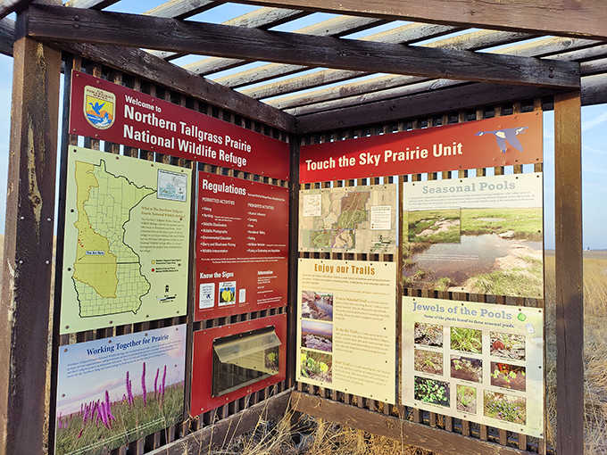 Welcome to Arcadia Marsh Nature Preserve &ndash; where adventure begins with a sign and ends with memories.