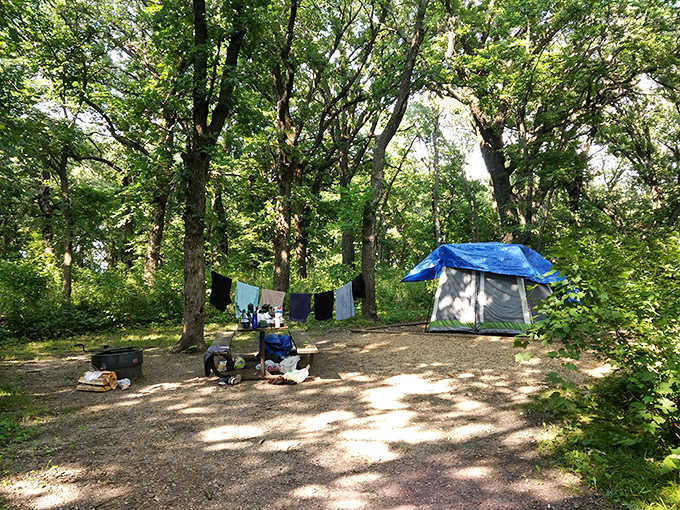 Camping: A cozy tent nestled among towering trees proves that sometimes the best room service is delivered by chirping birds.