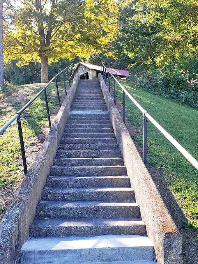 These historic stone steps have carried countless visitors upward, each footfall connecting modern adventurers with generations of past park-goers.