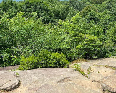 This 1.8-Mile Trail In Ohio Is So Enchanting, You Might Think You’re On ...