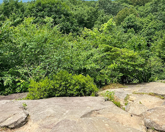 Smooth stone surfaces at the overlook offer perfect perches for contemplating the valley views stretching to the horizon.