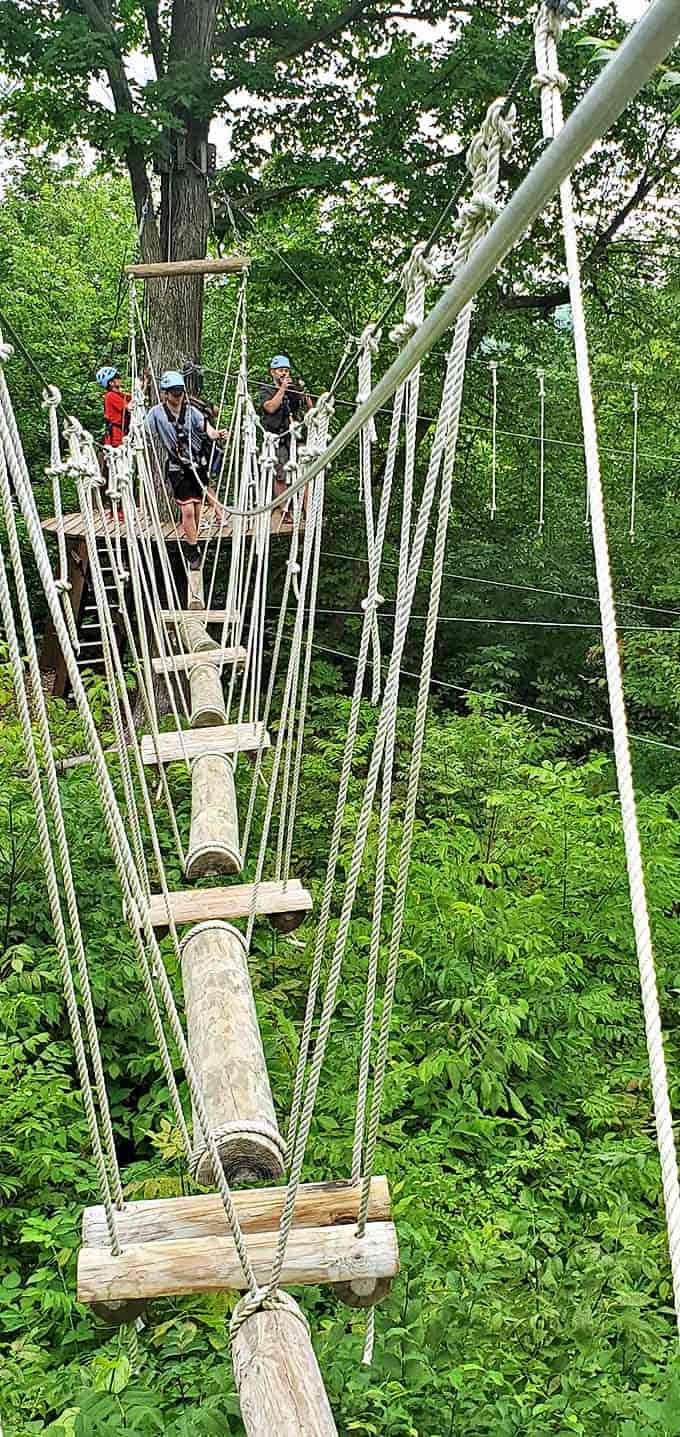 Nature's obstacle course: where every wobbly step across this log bridge builds character and tests friendships.