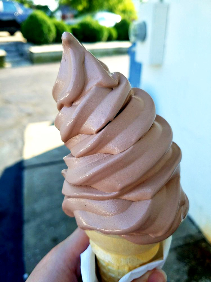 Chocolate soft serve with its perfect swirl – the architectural marvel of the dessert world that demands to be admired before devoured.