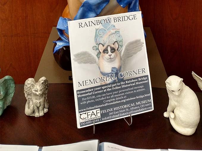 The Rainbow Bridge Memorial Corner offers a touching tribute to beloved cats who've crossed over &ndash; proof that some bonds never break.