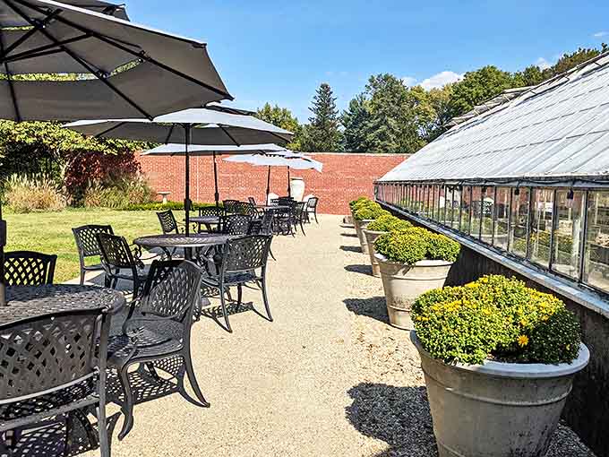 Musicians serenade guests on the patio as the setting sun paints the vineyard in golden hues – dinner and a show.