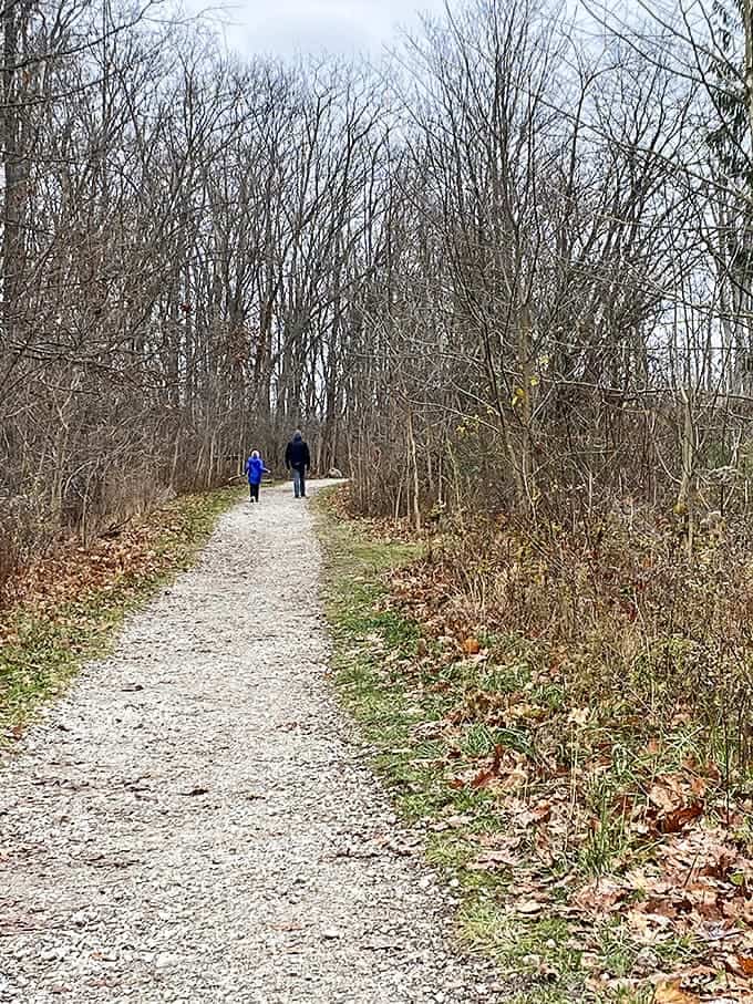 Path from Parking Lot: The journey begins on this unassuming trail, where each step takes you further from ordinary life into extraordinary nature.