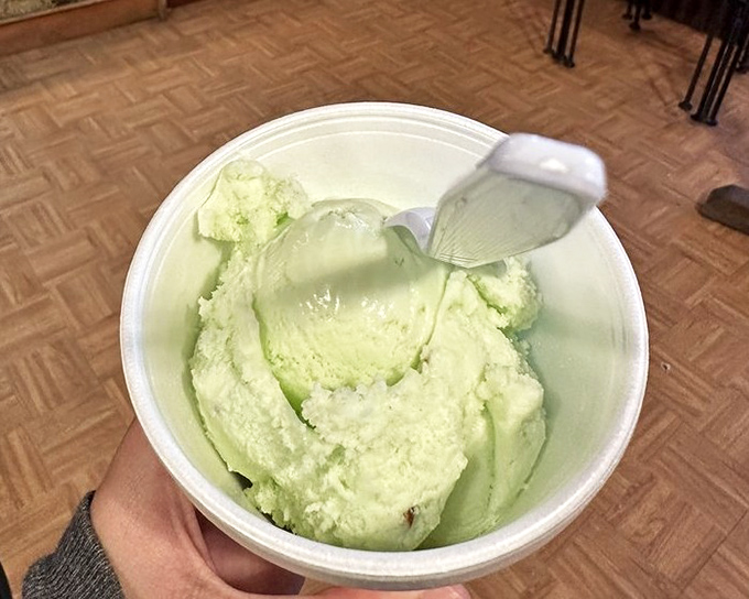 Pistachio ice cream &ndash; nature's subtle masterpiece in pale green, offering sophisticated nutty notes for the discerning dessert connoisseur.