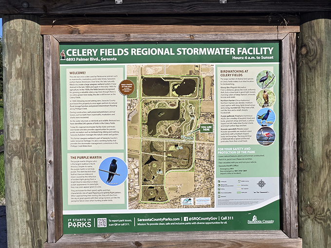 This helpful map guides visitors through Celery Fields' diverse habitats, though the real adventure lies in what can't be captured on paper.