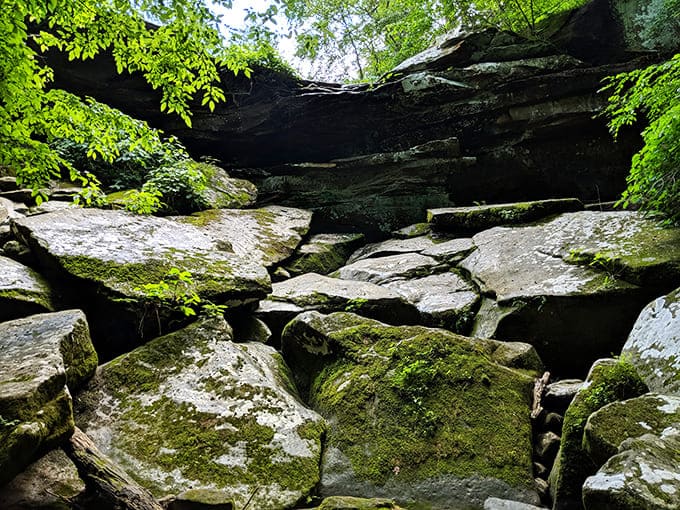 These rock formations have been standing here for millennia, making them the ultimate example of "if it ain't broke, don't fix it."