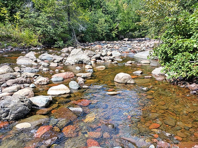 Sunlight reveals the kaleidoscope of colored stones beneath crystal clear waters. Nature's own jewel collection, polished by centuries of patient currents.