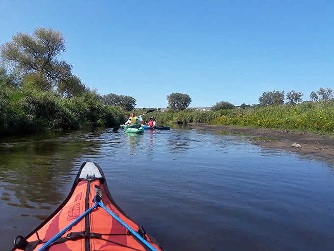 Paddling through the heart of Rice Creek reveals perspectives impossible to experience from shore &ndash; Minnesota's version of a water-level safari.