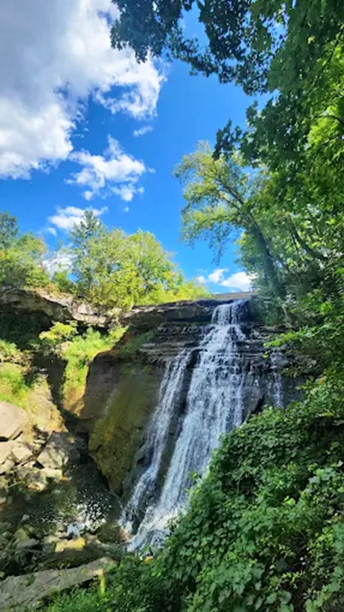 Sunlight filtering through trees creates spotlight moments on the falls &ndash; as if nature decided to direct its own Broadway production.