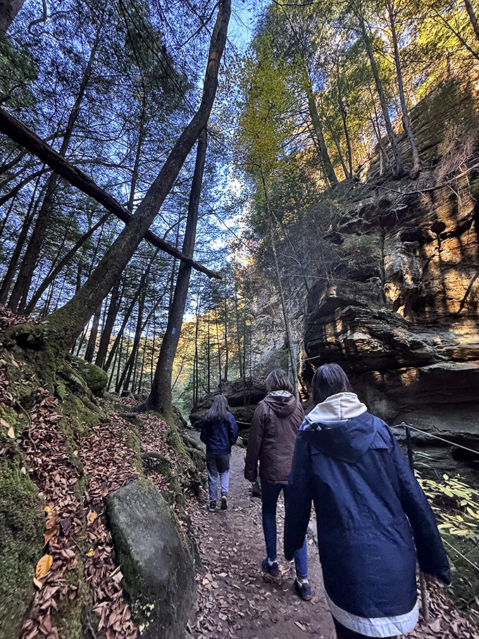 Hikers exploring the trail &ndash; experiencing nature's grandeur while secretly calculating how many steps until lunch.