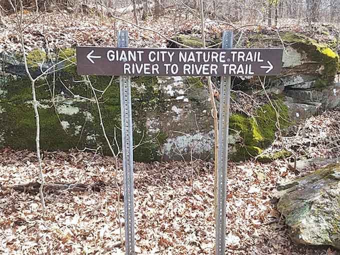 Choose your own adventure at this trail junction &ndash; both paths lead to wonders that will make your social media followers green with envy.