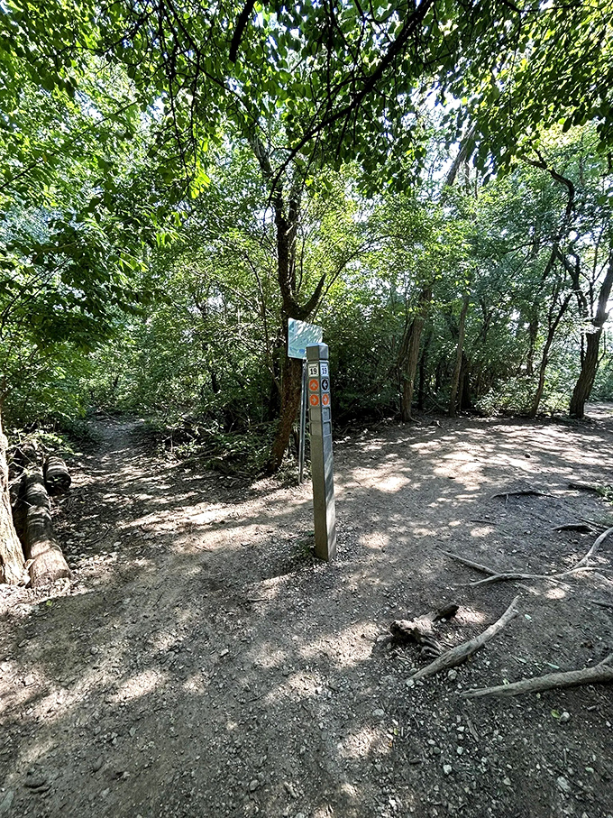 Trail markers keep adventurers oriented at key intersections. The numbered system makes it nearly impossible to truly get lost.