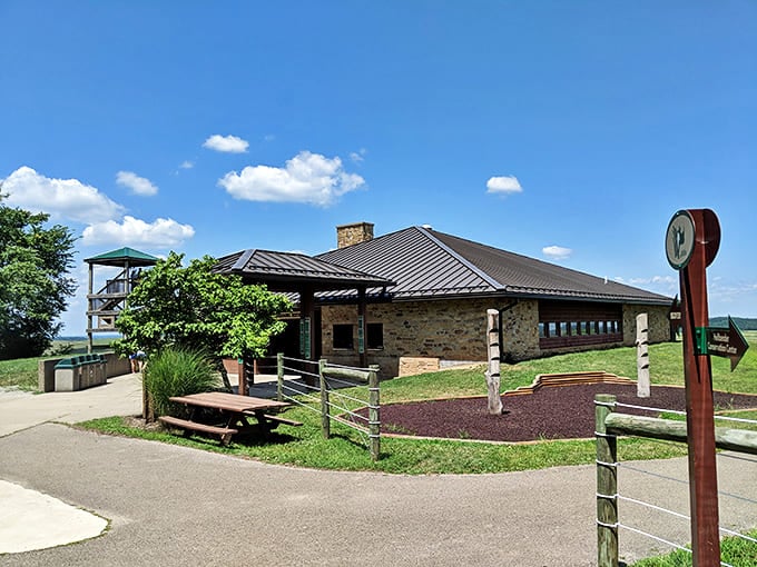 The Visitor Center blends seamlessly into the landscape with its stone construction and panoramic windows framing the wild beyond.