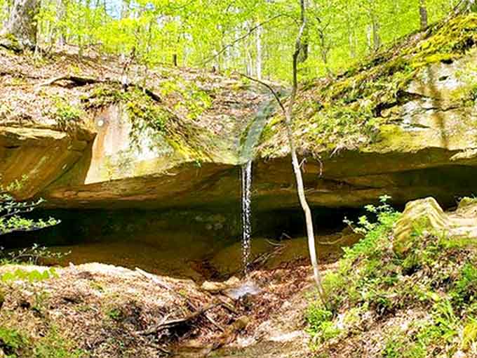 A delicate waterfall cascades over moss-covered rock, creating nature's own meditation soundtrack in a hidden corner of the park.