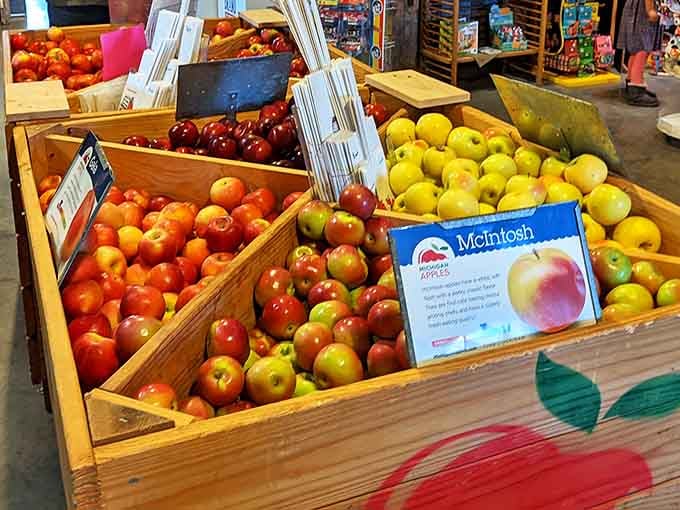 Bins of fresh apples in various varieties remind you that great cider starts with great fruit.