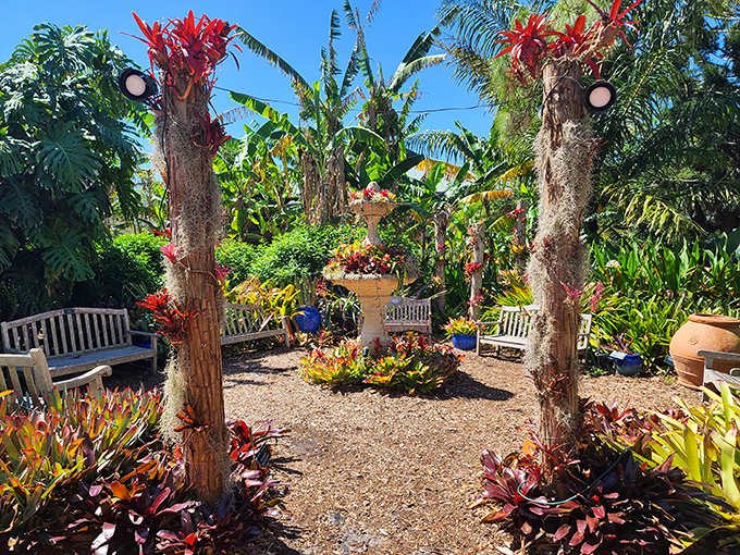 Benches: Wooden benches nestled among tropical palms invite visitors to sit awhile and remember what life was like before email notifications.