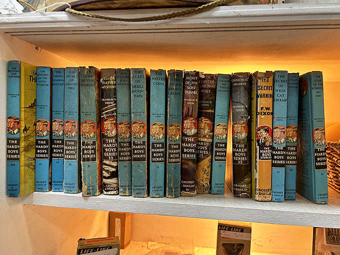 The Hardy Boys stand at attention, their spines straight and blue, ready to solve mysteries for a new generation of readers.