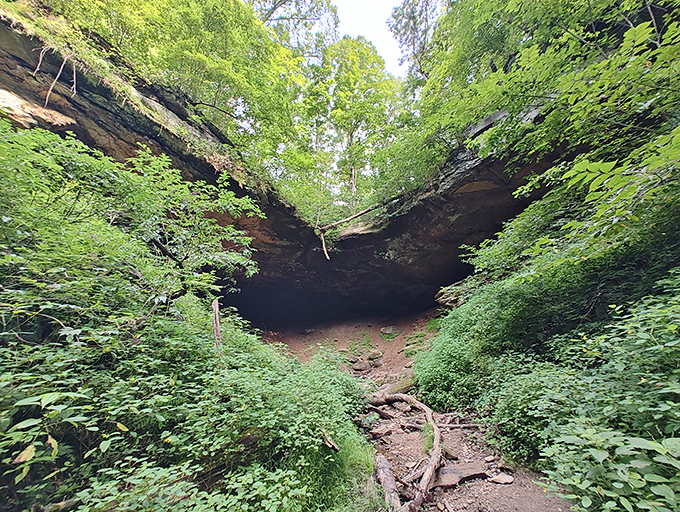 Summer transforms Hosak's Cave entrance into a lush green paradise. Like walking through a living painting where every shade of green competes for attention.